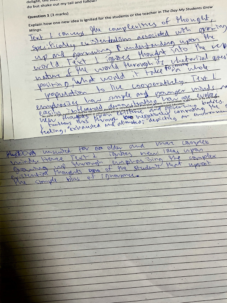 Short Answer Exam 2 | PDF