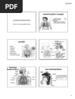 Anatomia da Laringe: Estruturas e Funções | PDF | Laringe | Anatomia humana