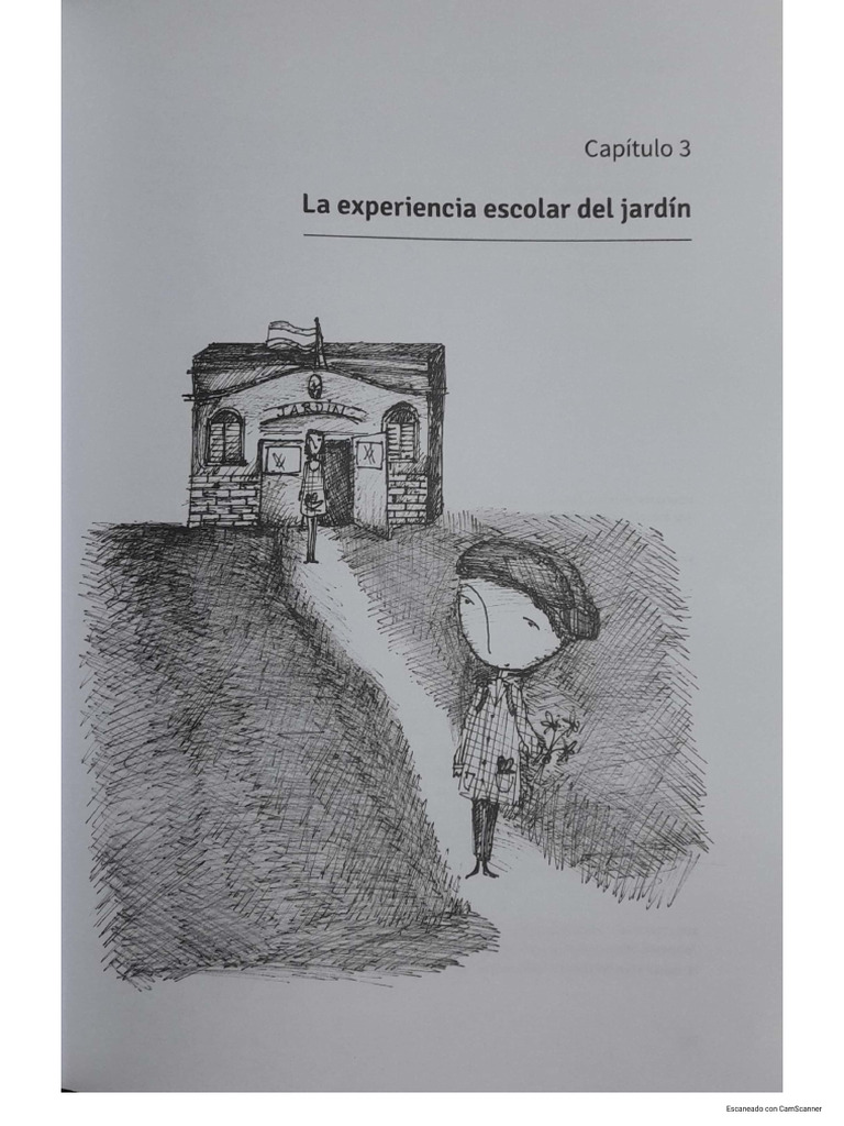 Capítulo 3 Brailovsky | PDF