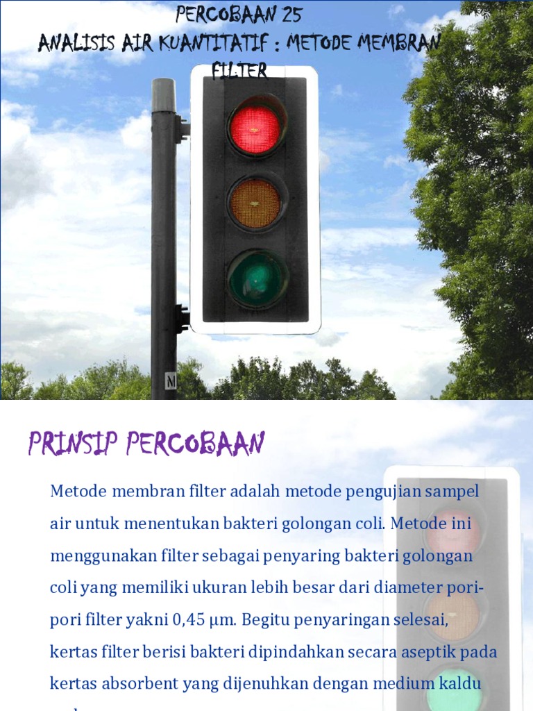 Presentasi Perc 25 Metode Membran Filter | PDF