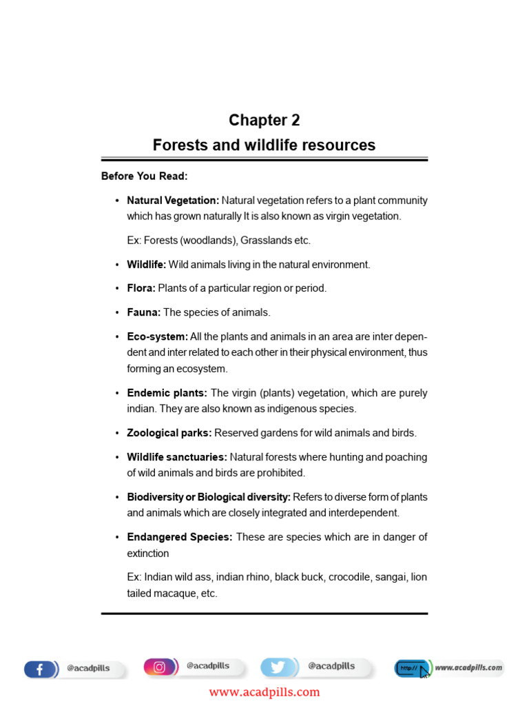 Forest and Wildlife | PDF | Wildlife | Biodiversity