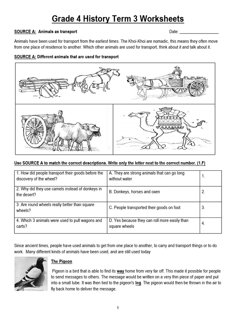 Gr.4H Term 3 Worksheets | PDF | Boats | Car