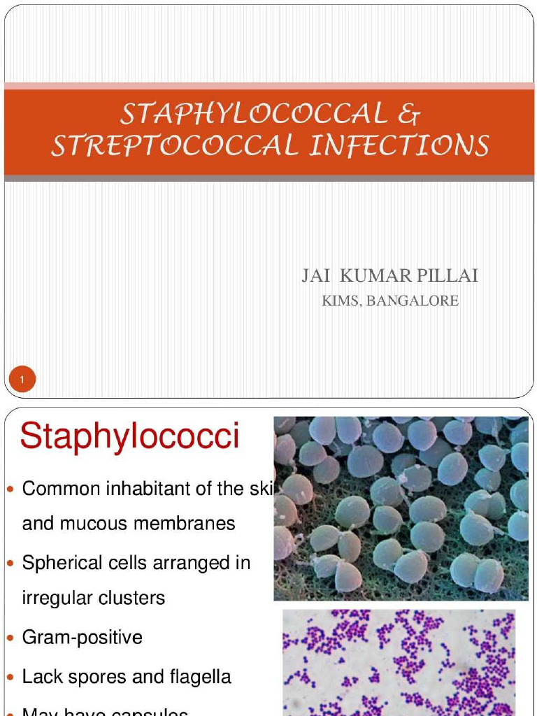 Staphylococcal Amp Streptococcal Skin Infections | PDF