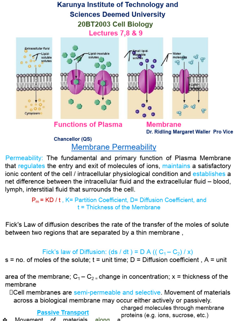03 - 20BT2003 Cell Biology Lecture | PDF | Cell Membrane | Physiology