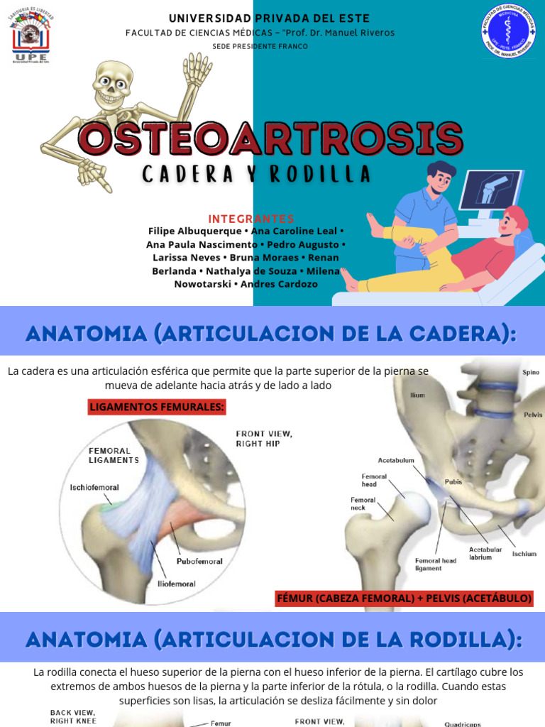 Osteoartrosis Cadera y Rodilla | PDF | Rodilla | Osteoartritis
