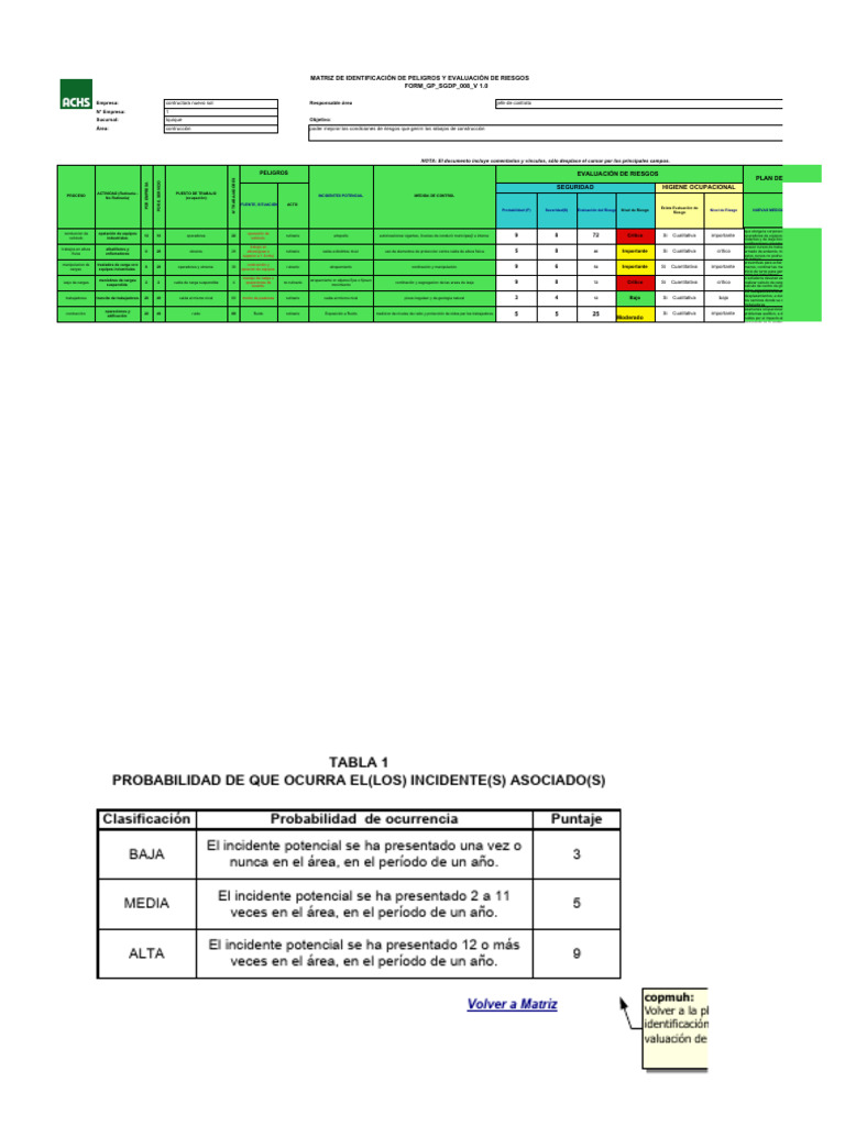 EXCEL TAREA SEMANA 9 - Proyecto Final | PDF | Higiene Ocupacional | Business