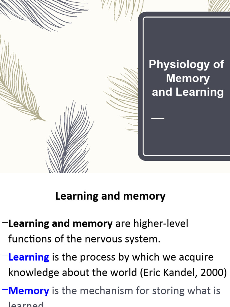Memory and Learning Physiology Explained | PDF | Long Term Potentiation ...