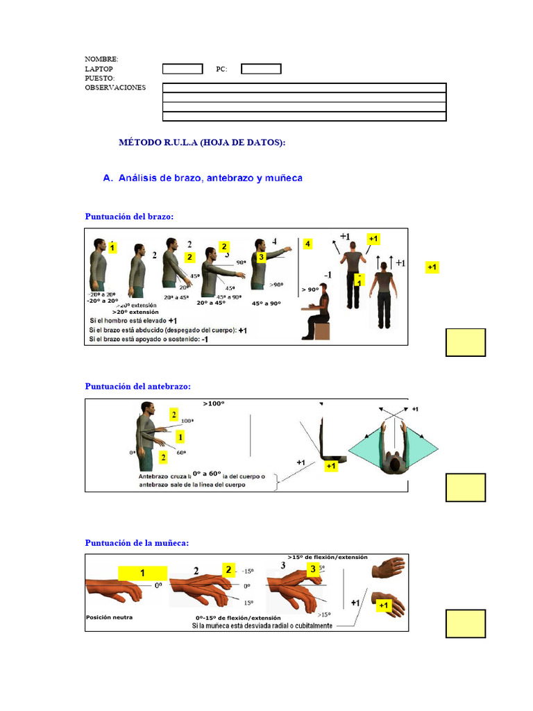 Plantilla Metodo Rula | PDF | Sistema musculoesquelético | Anatomía
