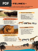 Adaptations of A Black Panther | PDF | Leopard | Cougar