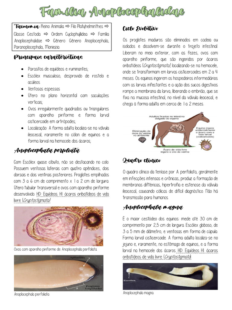 Ciclo Biológico de Anoplocephala e Moniezia | PDF | Casa e Jardim