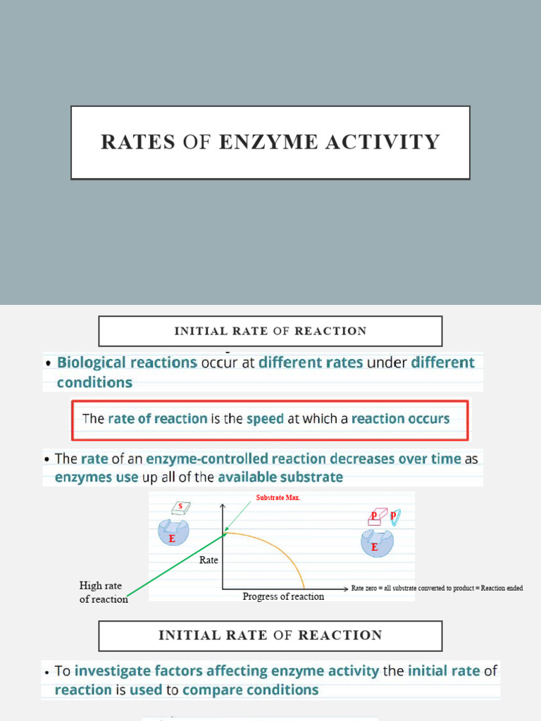 Rates of Enzyme Activity | PDF | Enzyme Inhibitor | Enzyme