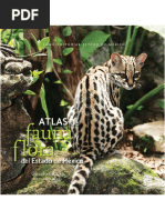 Fauna Diversa de Michoacán | PDF | Mamíferos | Zoología