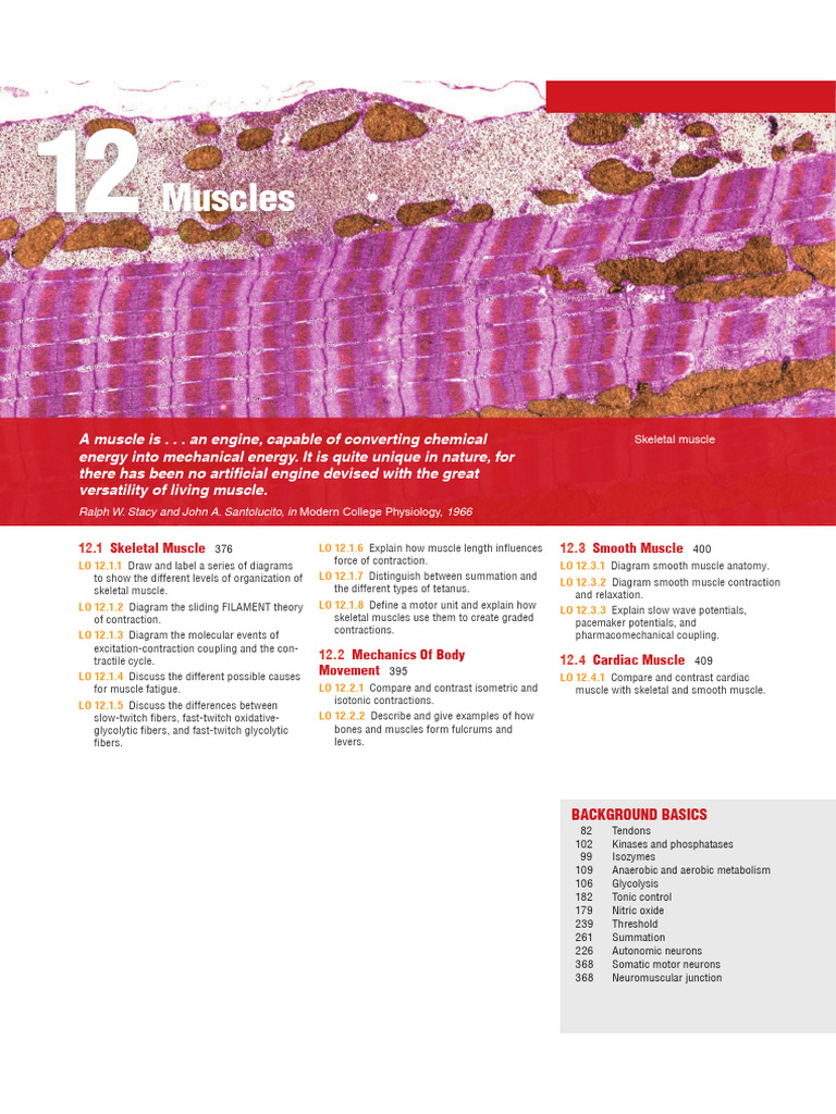 Muscles: Skeletal Muscle Smooth Muscle | PDF | Muscle Contraction | Muscle