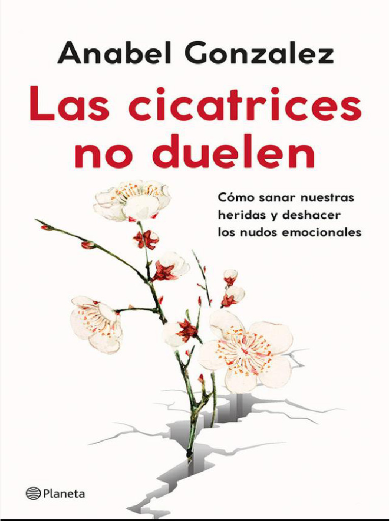 Las-cicatrices-no-duelen-Anabel Gonzalez | PDF Las-cicatrices-no-duelen-Anabel Gonzalez | PDF