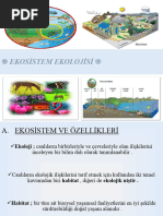 10.sinif Tyt Biyoloji Ekosistem Ekolojisi Konu Anlatimi | PDF