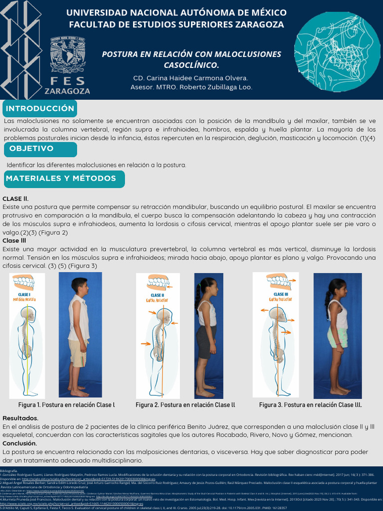 Postura | PDF | La columna vertebral | Sistema esquelético