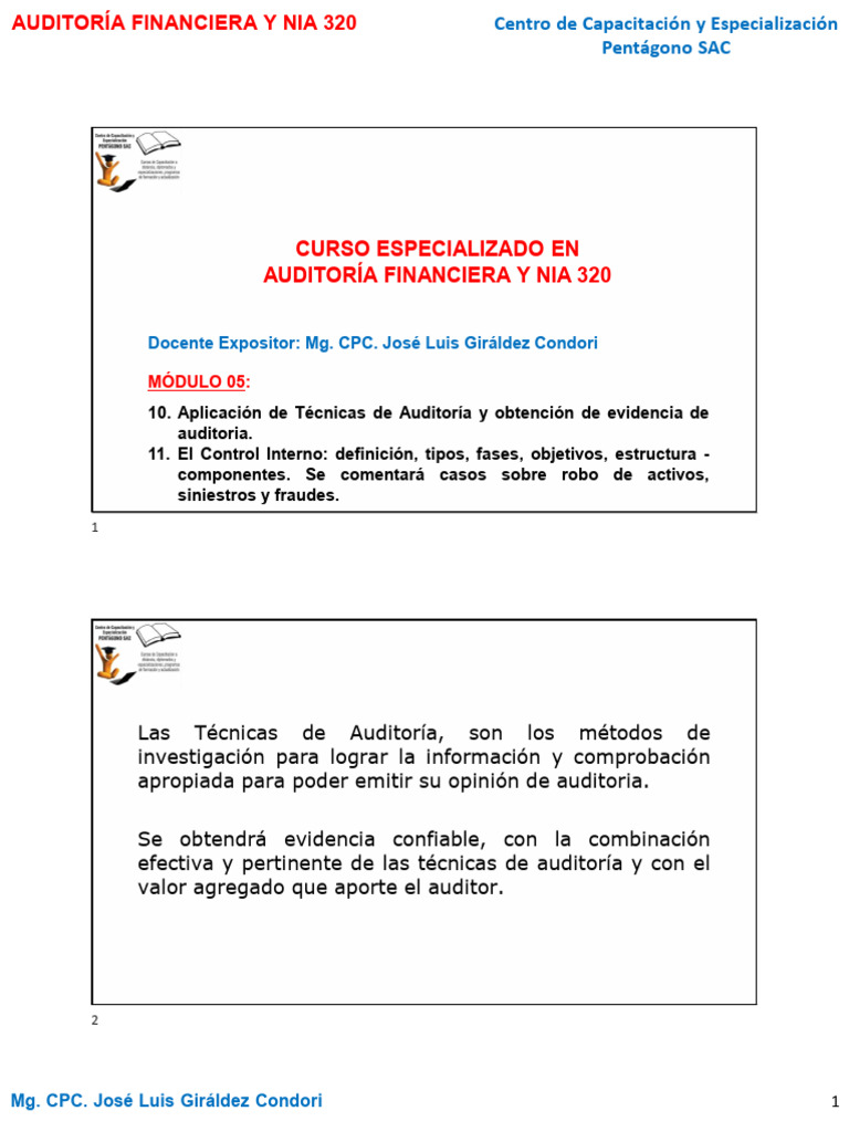 Módulo 05 Técnicas de Auditoria, Control Interno | PDF | Auditoría