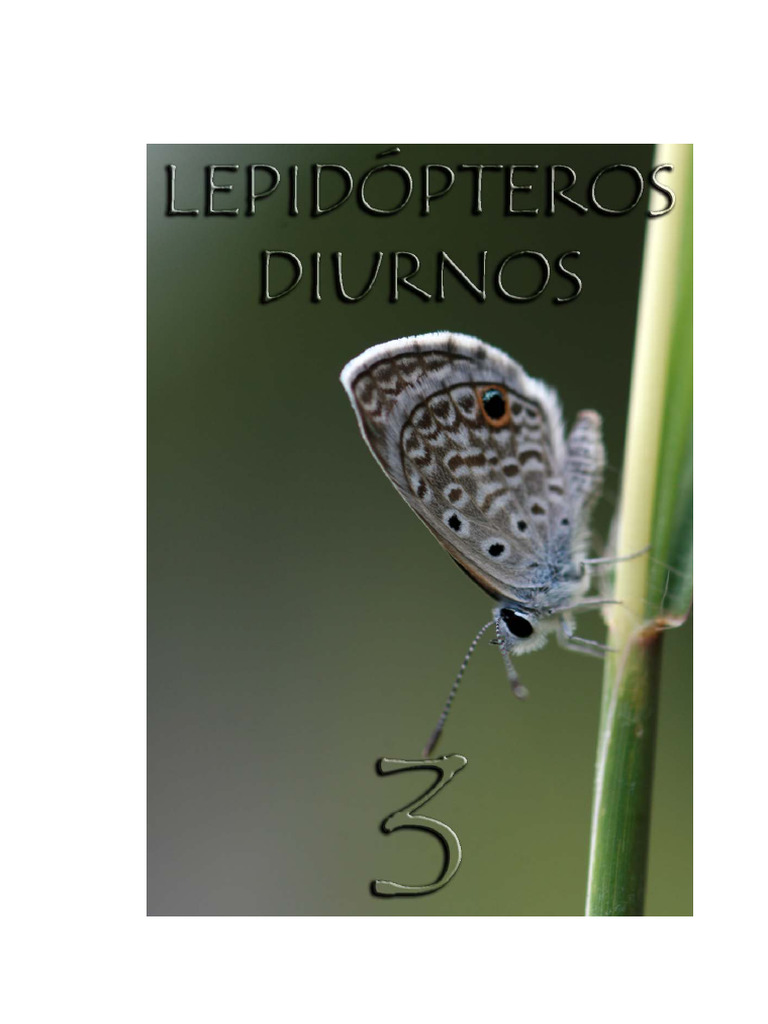 Lepidopteros | PDF | Mariposa | Lepidópteros