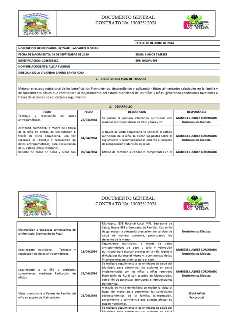 Plan de Accion DNT, 2024 | PDF | Dietético | Nutrición