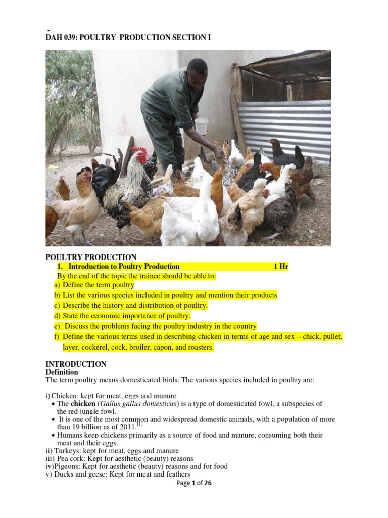 Poultry Production Notes | PDF | Chicken | Poultry