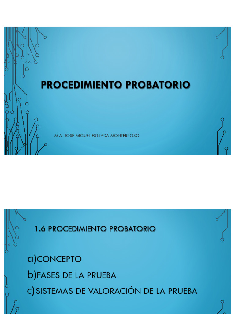 1.3 Procedimiento Probatorio | PDF | Evidencia (ley) | Ley común