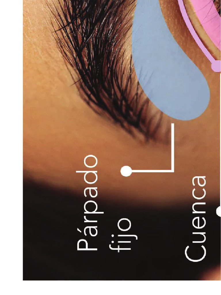 Ojo 2 | PDF