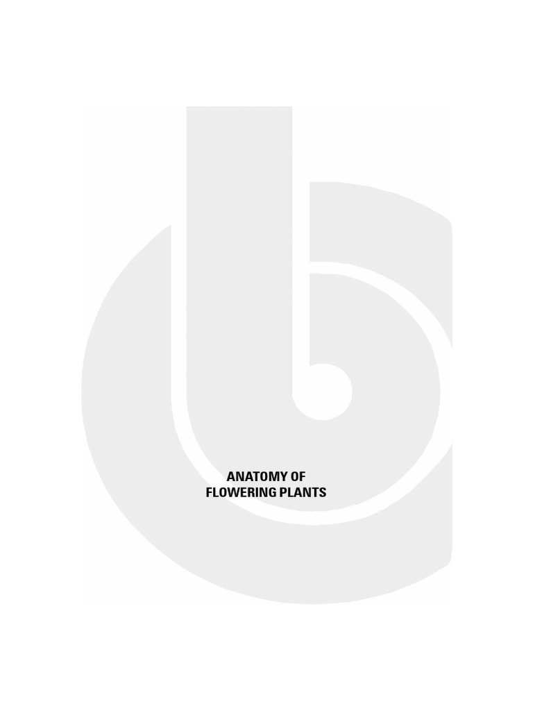 06_Anatomy of Flowering Plants_E | PDF | Plant Stem | Leaf