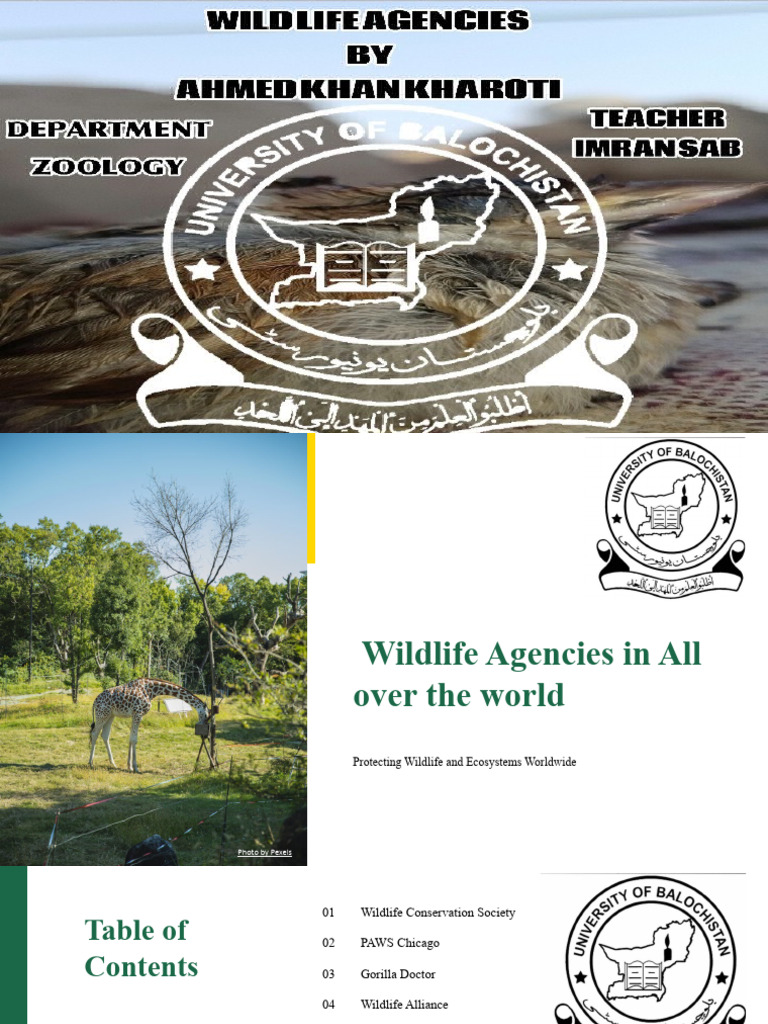 Ahmedkhan Kharoti Presentation | PDF | Conservation Biology | International Union For ...