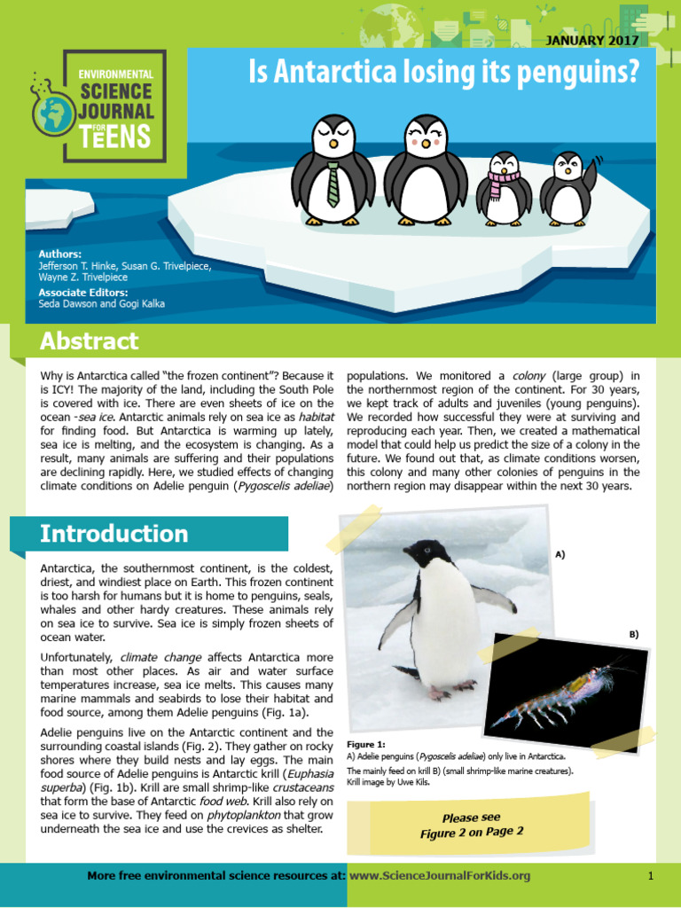 Trinity Term - Penguins - Article | PDF | Antarctica | Oceans