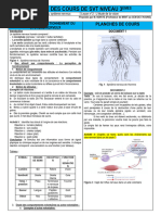 Dissection virtuelle du système nerveux de la grenouille | PDF | Nerf ...