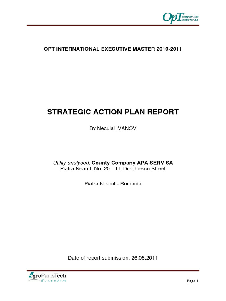 Strategic Action Plan Report - Neculai Ivanov | PDF | Human Resources ...
