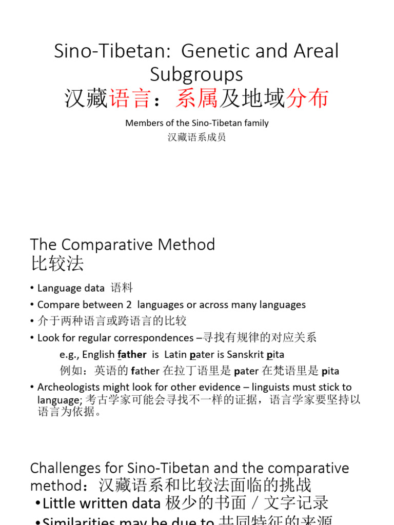 sino-tibetan-linguistics-chelliah-03 | PDF | Chinese Language | Linguistics