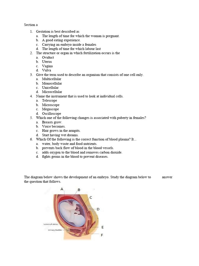Science Grade 8 | PDF | Fertilisation | Blood
