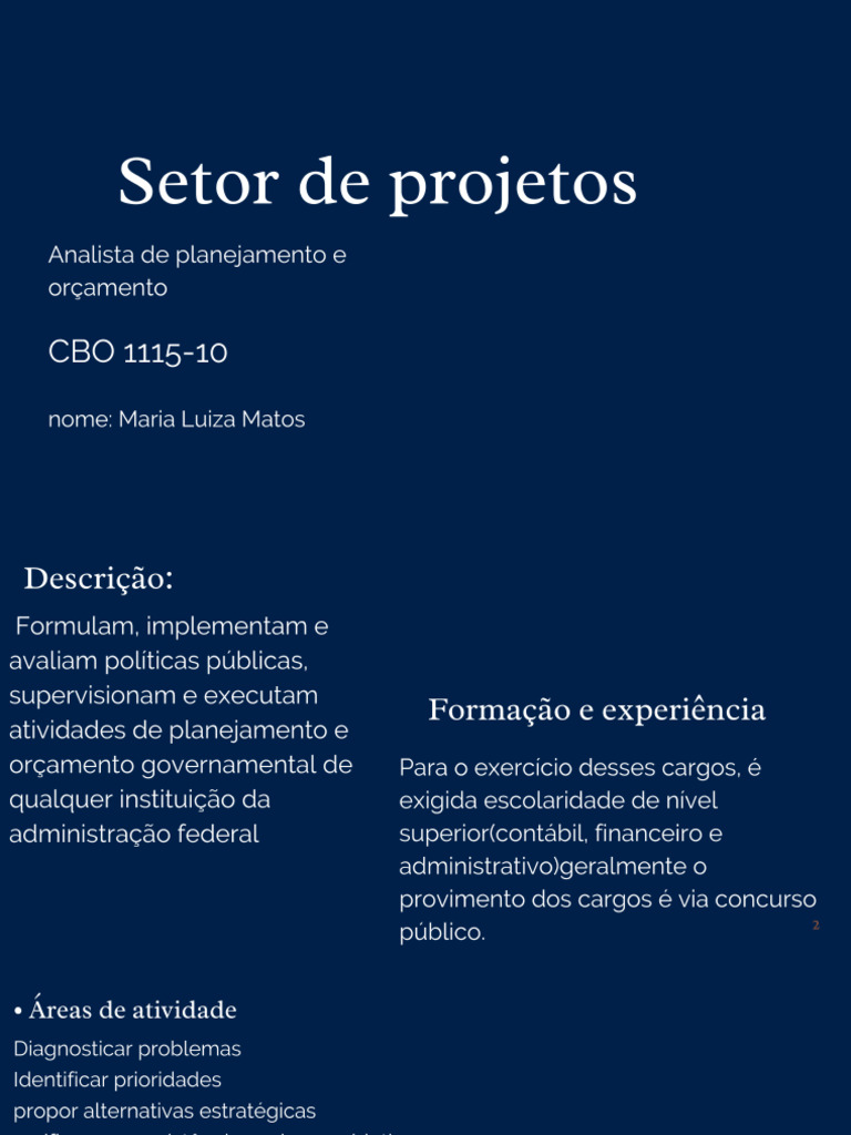Setor Projetos - Malu | PDF