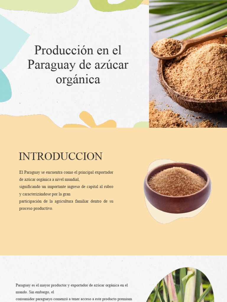 Paraguay: Líder en Azúcar Orgánica | PDF | Sustentabilidad | Agricultura