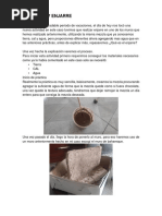 Tipos y Proceso de Enjarre en Muros | PDF