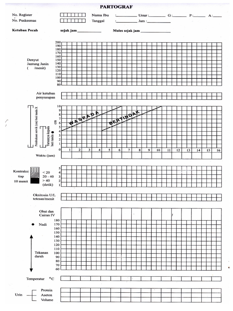 Partograf | PDF