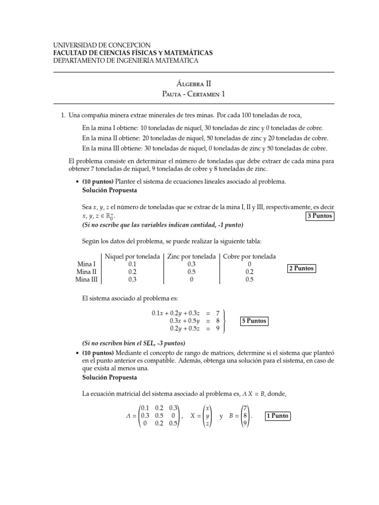 PautaCertamen1 A2 2024 1 | PDF | Matriz (Matemáticas) | Níquel