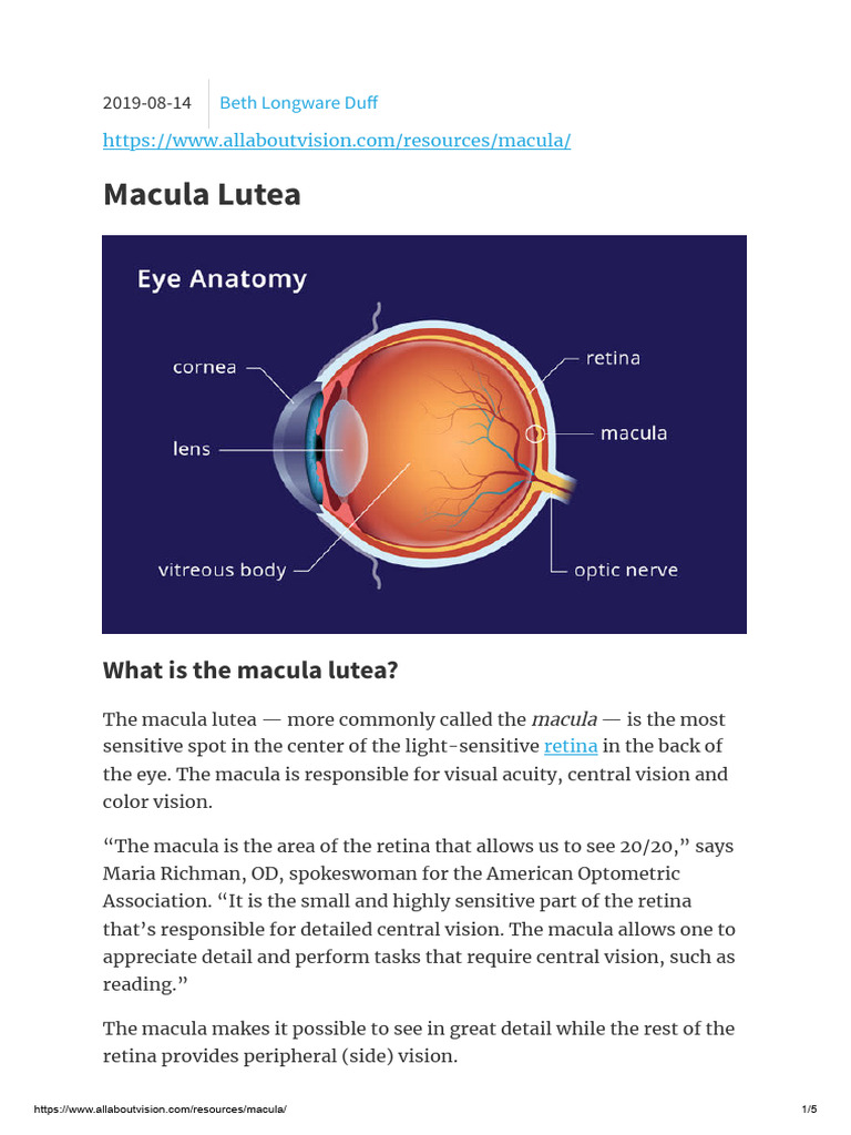 Macula Lutea - All About Vision | PDF | Retina | Vision