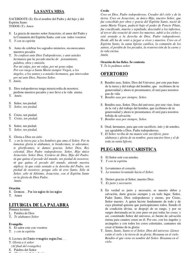 La Santa Misa | Cristo (título) | eucaristía