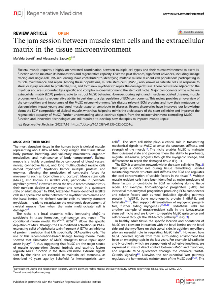 The Jam Session Between Muscle Stem Cells and The Extracellular Matrix ...