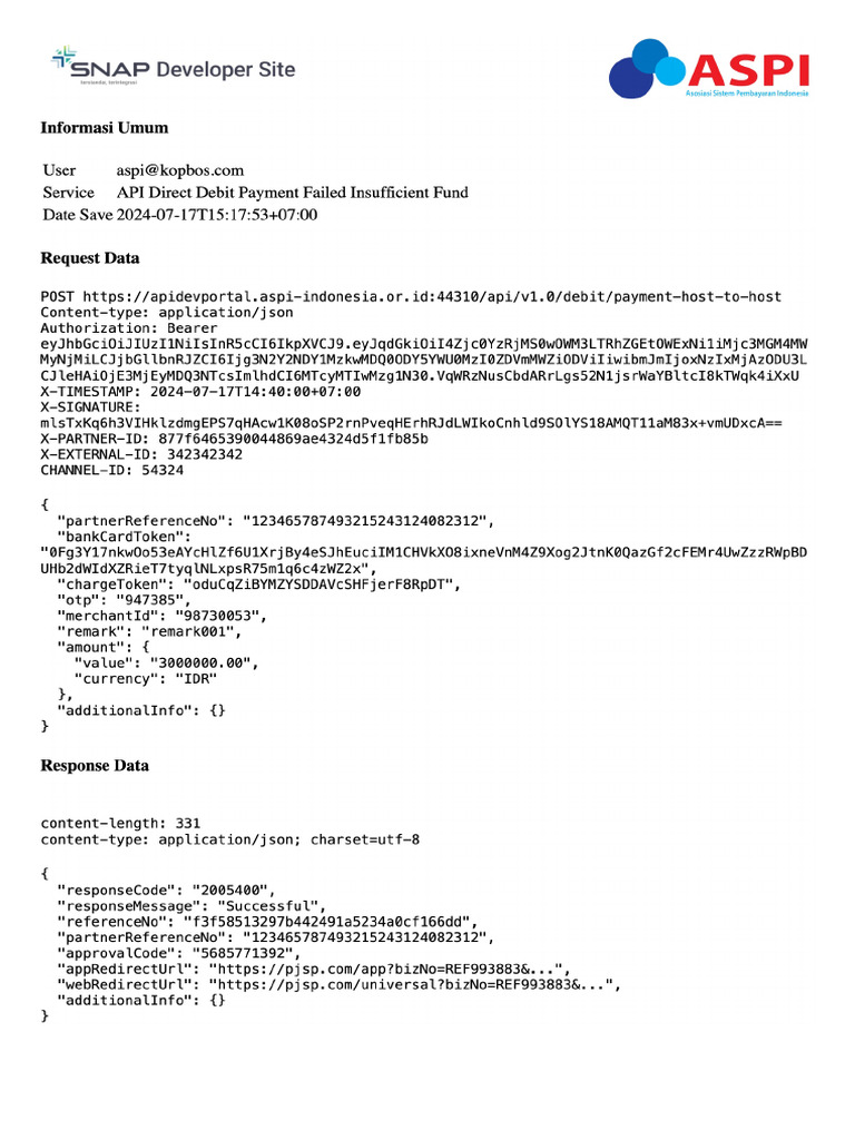 API Direct Debit Payment Failed Insufficient Fund | PDF