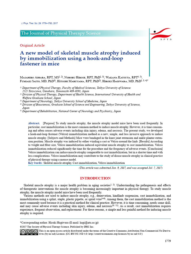 A New Model of Skeletal Muscle Atrophy Induced by Immobilization Using ...