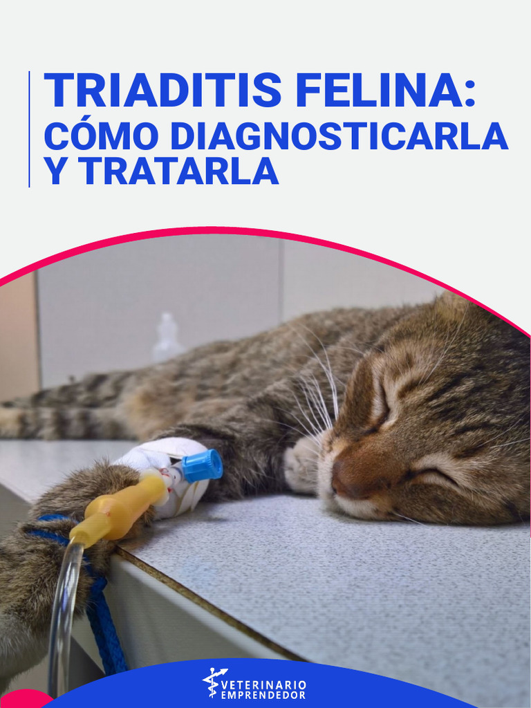 Triaditis Felina FB | PDF | Diarrea | Medicina CLINICA