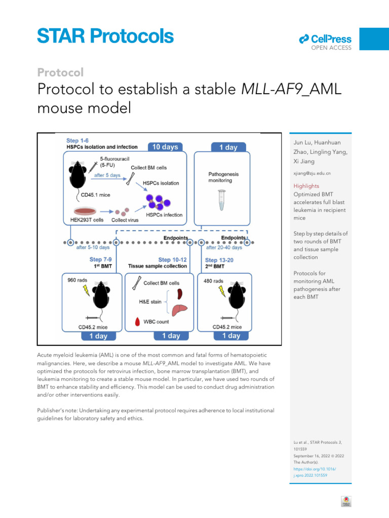 Protocol to establish a stable MLL-AF9_AML mouse model | PDF | Leukemia ...