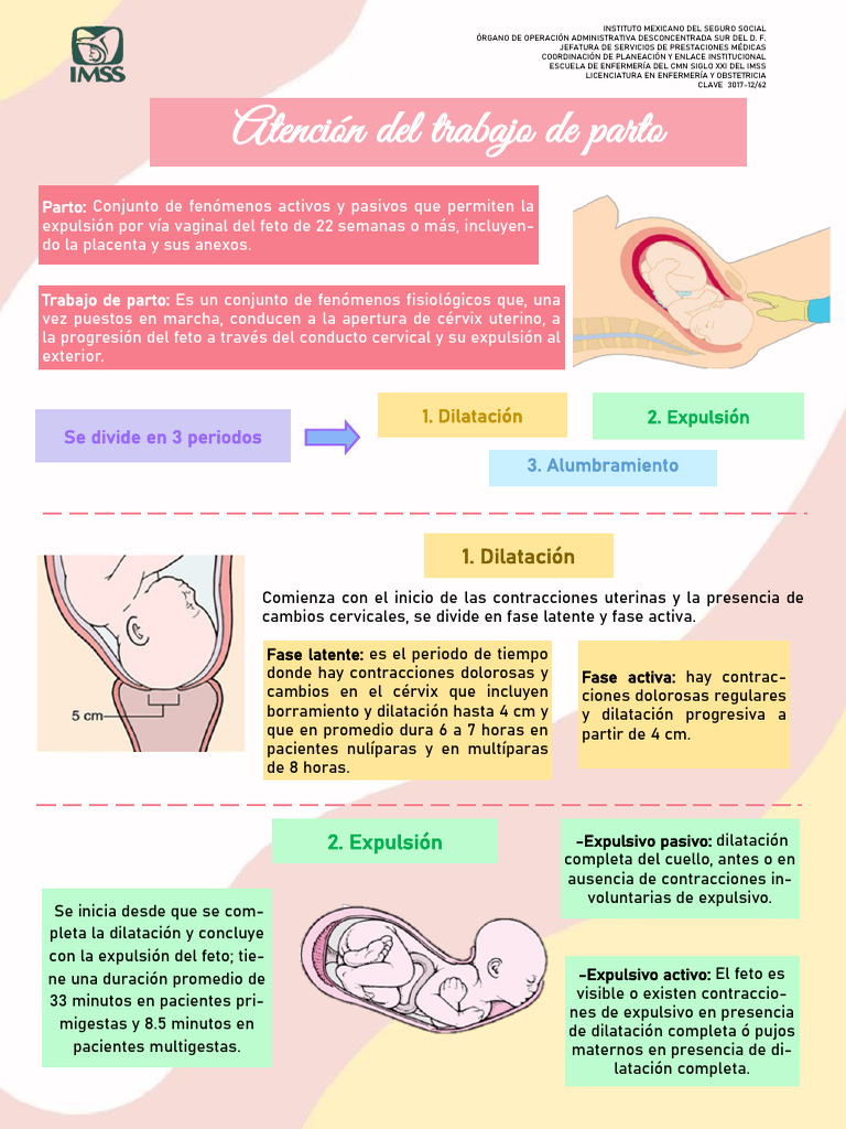 Atención Al Parto | PDF | Parto | Pelvis