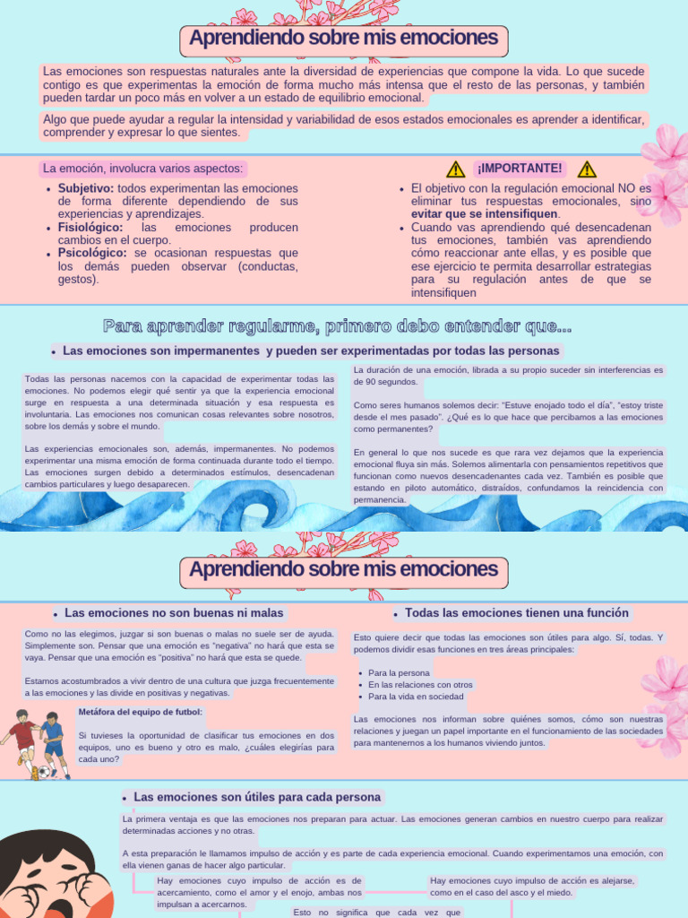 Psicoeducación Regulación Emocional Pdf Las Emociones Ira