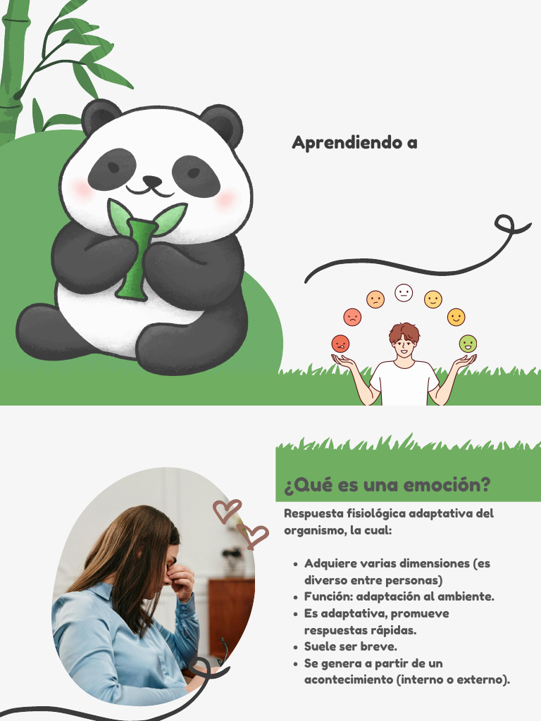 Psicoeducación En Regulación Emocional Pdf Las Emociones