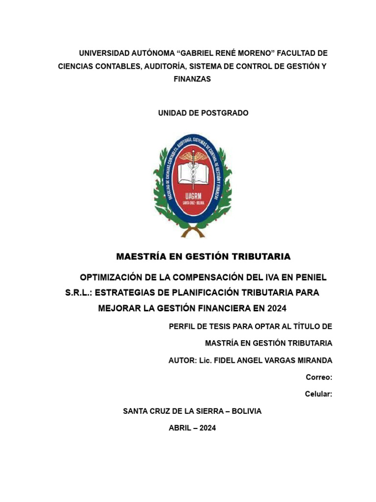 Perfil de TEsis - FIDEL VARGAS MIRANDA | PDF | Planificación | Business