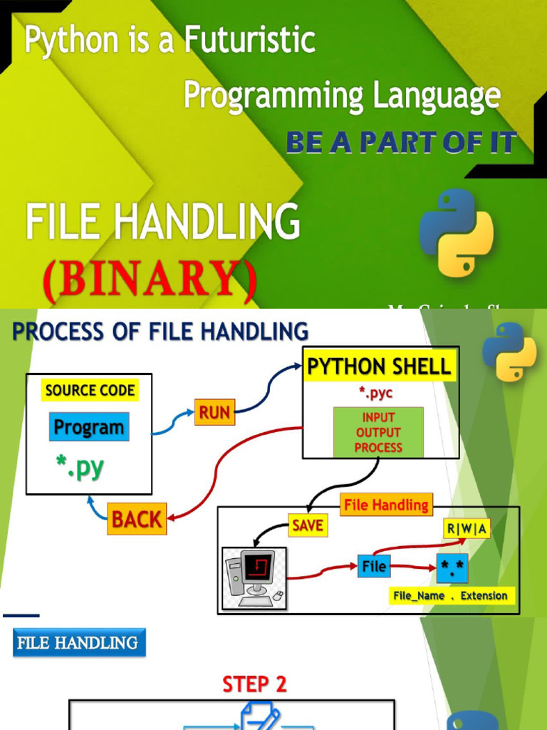 Binary File 1717563688 | PDF